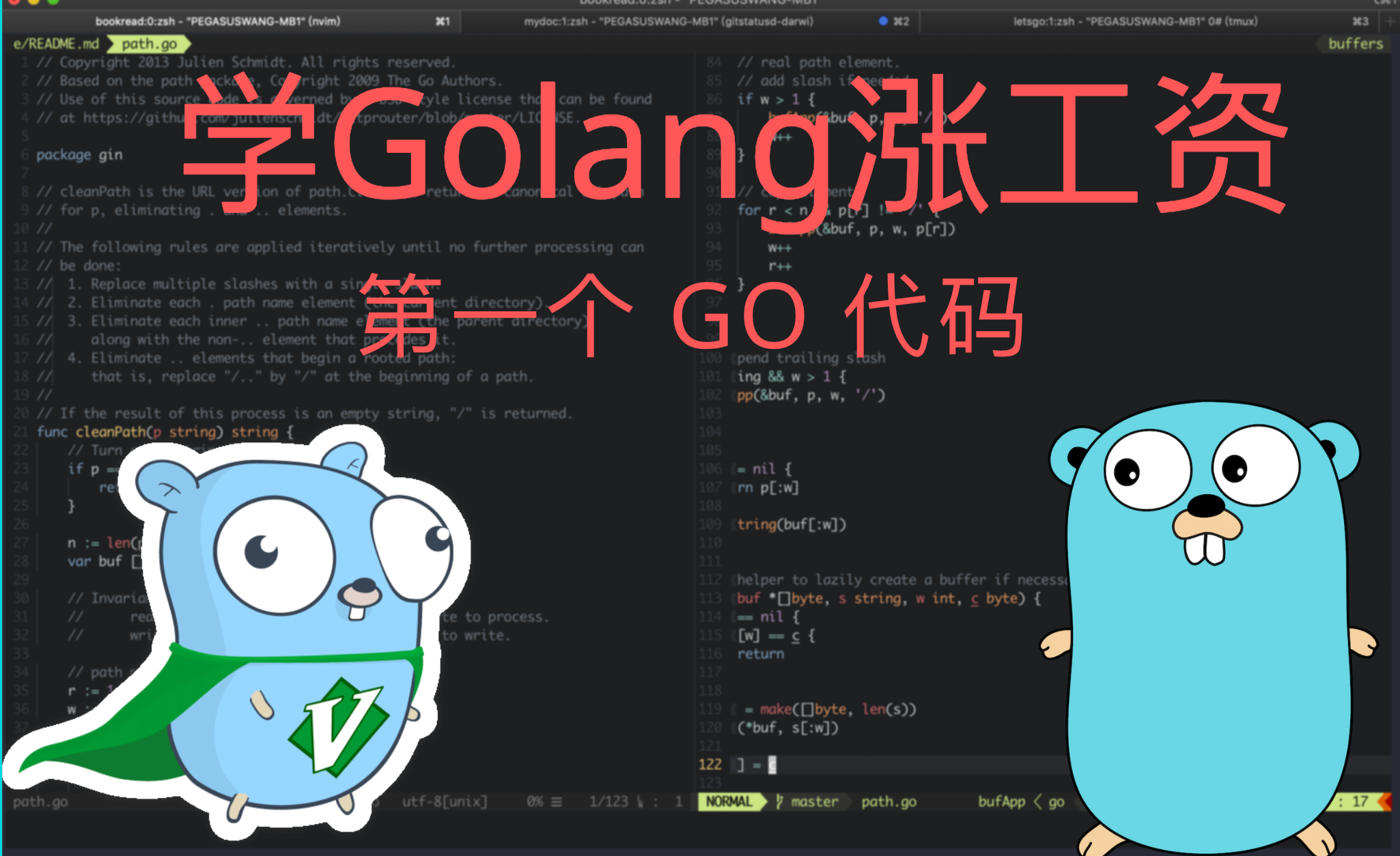 学 Golang 涨工资系列，你的第一个 Go 程序[视频]