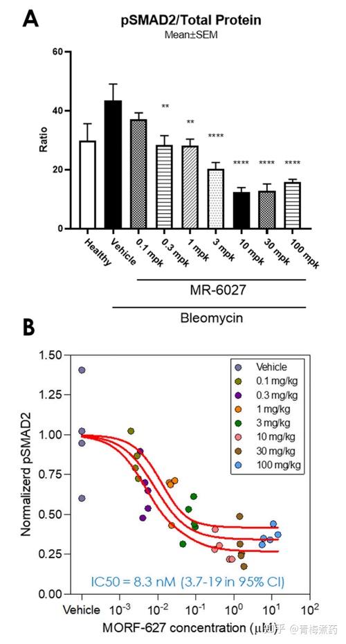 JMC|MORF-627的发现：一种高度选择性的构象偏倚的两性离子整合素αvβ6抑制剂用于纤维化疾病的研究 - 知乎