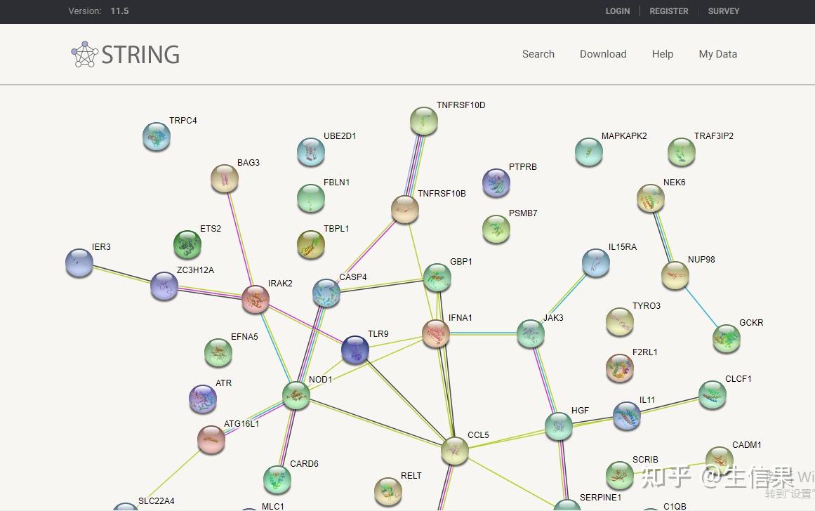 蛋白的关系我知道，蛋白互作网络分析 - 知乎