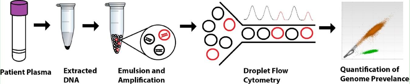 技术剖析：Digital PCR原理，分类及其应用前景 - 知乎