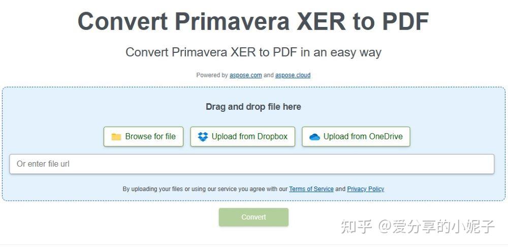 借助图形控件Aspose.Tasks，在 Java 中将 XER 转换为 PDF - 知乎