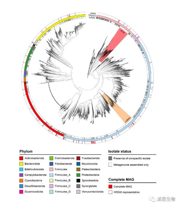宏基因组组装新概念—cMAGs(完成图MAGs) - 知乎
