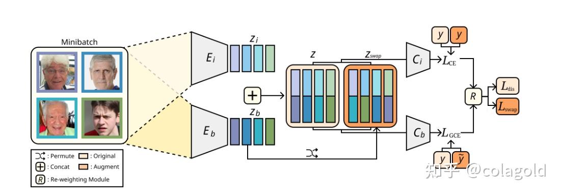NeurIPS 2021-基于特征增强的解纠缠图像去偏Learning Debiased Representation via Disentangled Feature ...