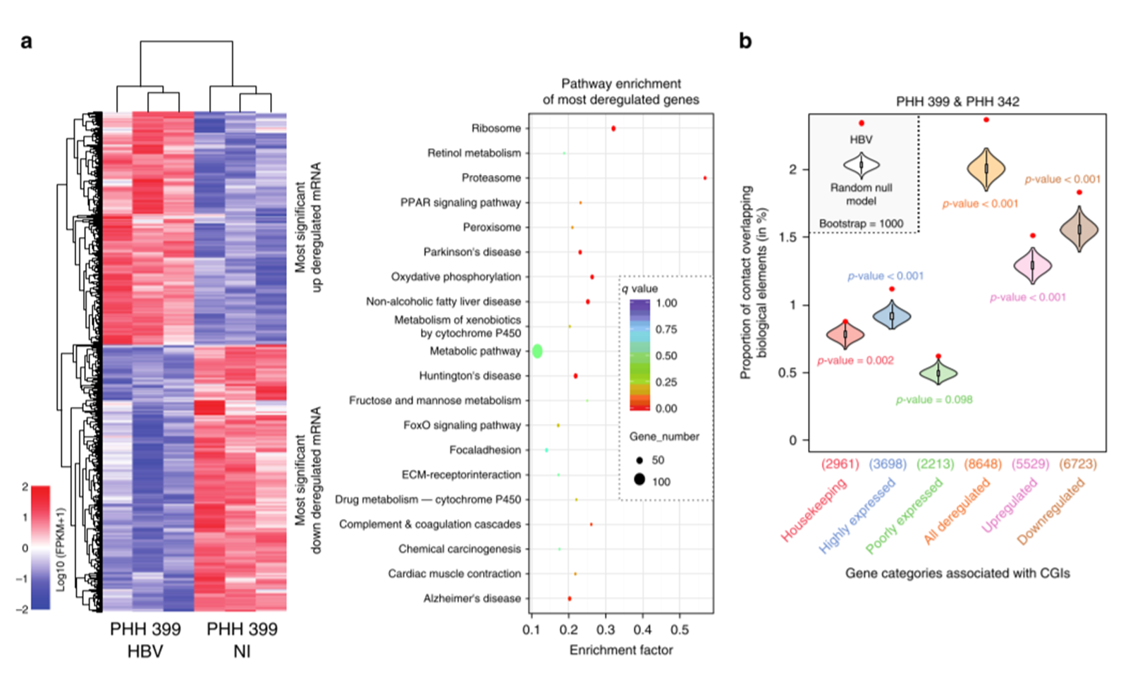 Hi-C测序揭示HBV病毒，Ad5病毒侵染人体细胞的染色质构象影响 - 知乎