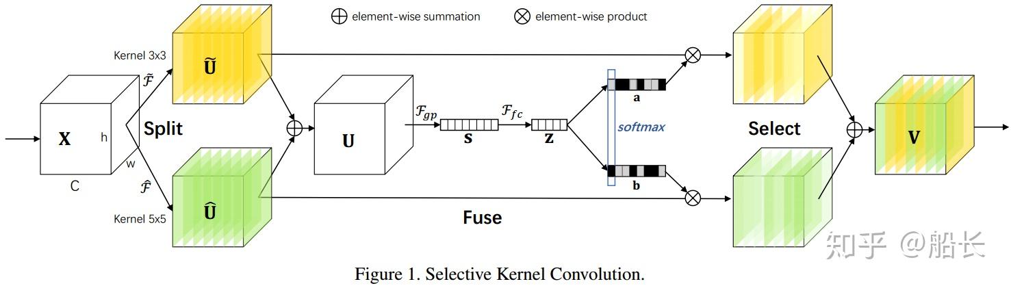 再聊SENet的孪生兄弟SKNet - 知乎