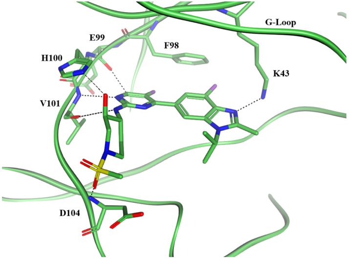 JMC | 辉瑞高选择性CDK4抑制剂Atirmociclib迈入III期临床，乳腺癌治疗有望升级 - 知乎