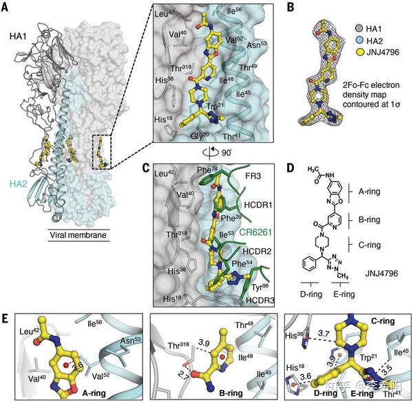 零基础PyMOL作图教程——绘制蛋白质-分子结合模式图 - 知乎