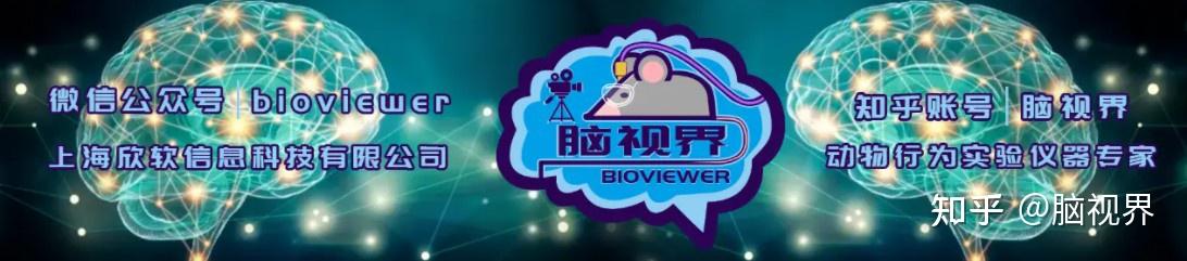 小鼠慢性社交挫败应激模型（CSDS）的建立及评价研究 - 知乎