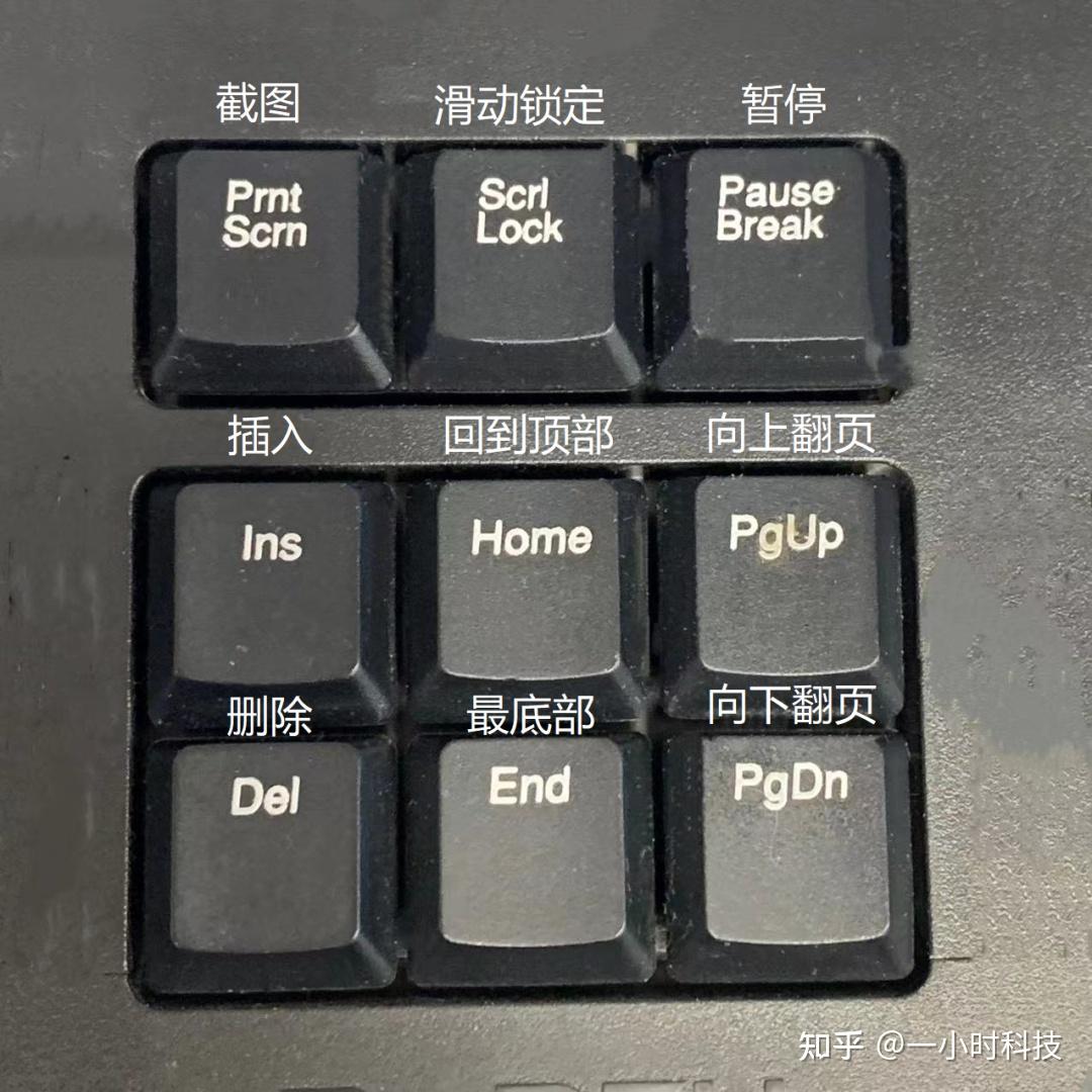 用了这么就电脑才发现，原来这9个键是这么用的！！ - 知乎