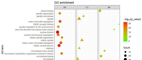 R语言KEGG信号通路富集分析（enrichplot、ggplot2、pathview绘图） - 知乎