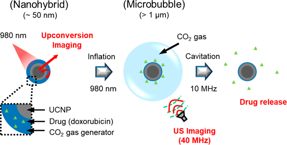 上转换，连续7篇顶刊！ - 知乎