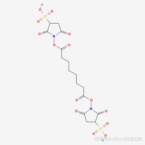 BS3交联剂；伯胺反应联剂 - 知乎