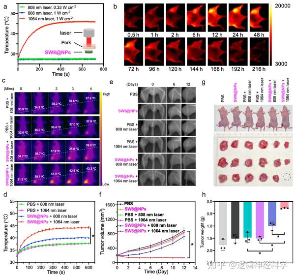 Research︱西北工业大学黄维院士团队成功开发超高效的NIR-II光热剂用于1064 nm激光介导骨肉瘤光热治疗 - 知乎
