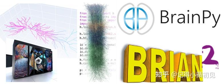 细说我用过的三款计算神经科学软件：Brian2、BrainPy和NEURON - 知乎