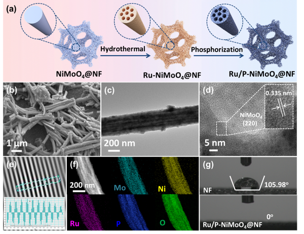 双掺杂多通道结构的NiMoO₄在碱性海水中实现大电流密度下尿素辅助节能制氢 - 知乎