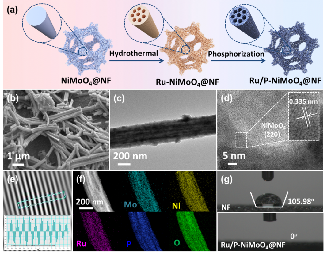 双掺杂多通道结构的NiMoO₄在碱性海水中实现大电流密度下尿素辅助节能制氢 - 知乎