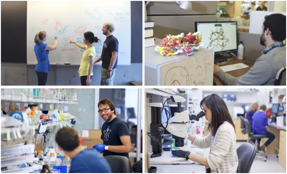 蛋白质设计师David Baker：我喜欢做那些“魔法”般的事 - 知乎