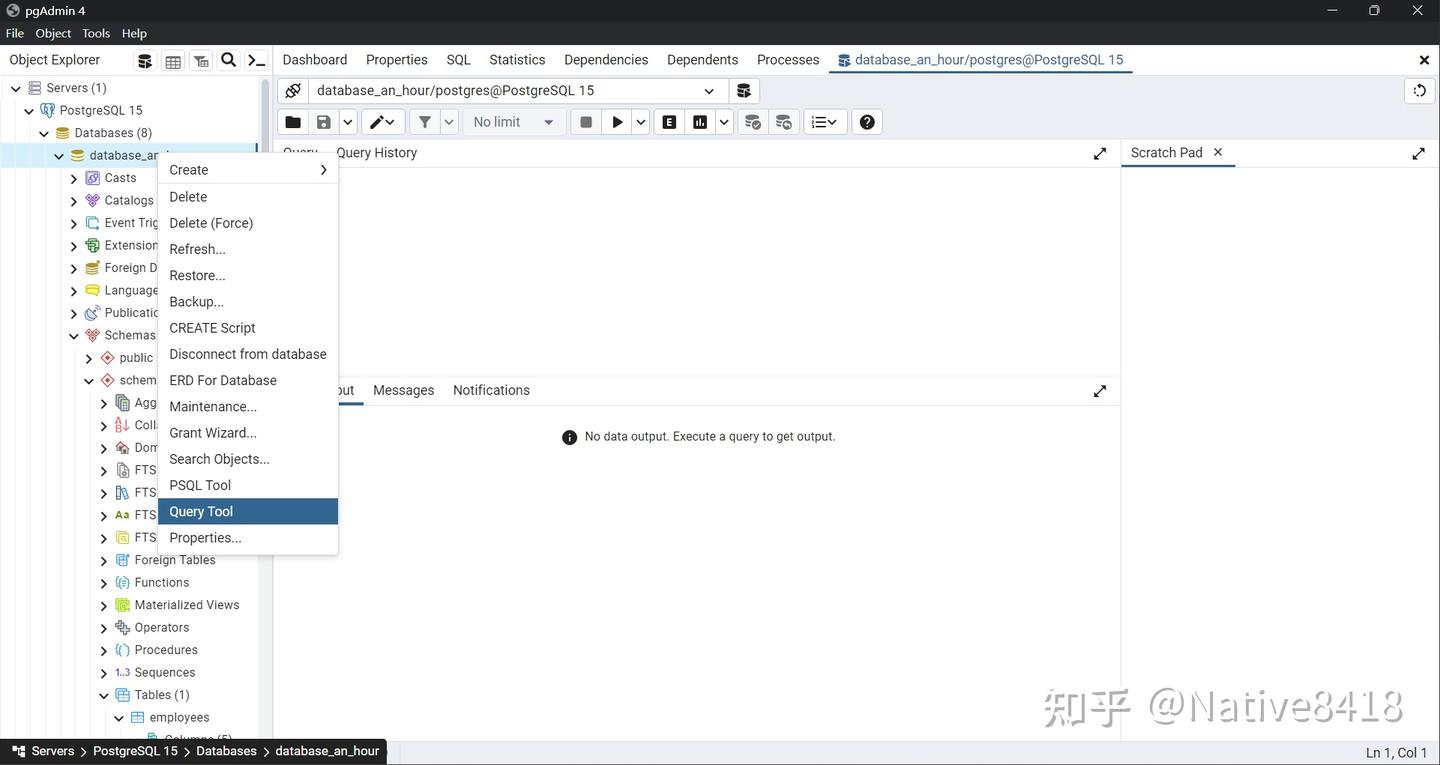 一小时实践入门 pgAdmin - 知乎