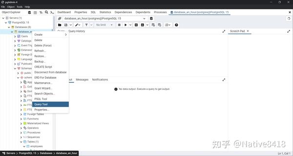 一小时实践入门 pgAdmin - 知乎