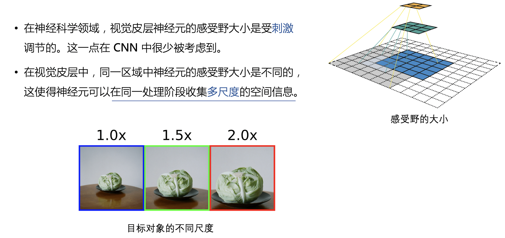论文 Selective Kernel Networks（SKNet）解读 - 知乎