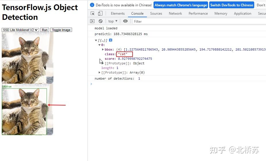 Tensorflow.js 视频图片多目标检测 - 知乎