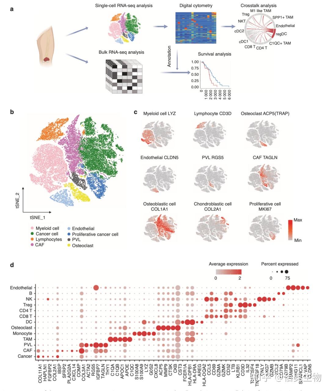 单细胞加免疫双管齐下，干湿结合发13分+1区SCI - 知乎