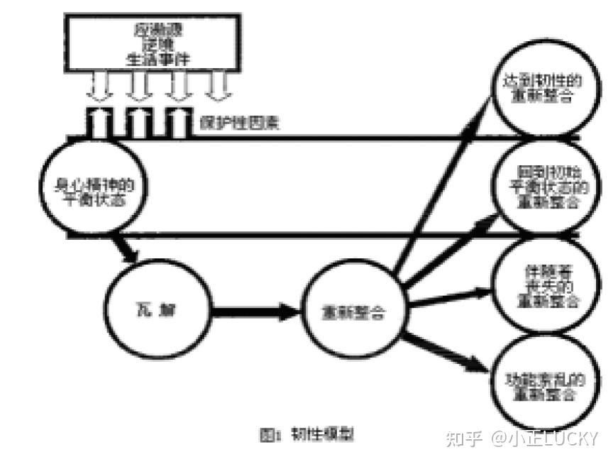 韧性（resilience）——在压力下复原和成长的心理机制* - 知乎