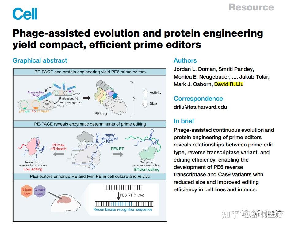 Cell | 更高效、更紧凑的先导编辑器，效率提升24倍 - 知乎