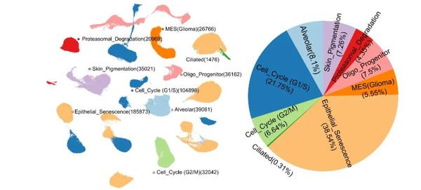 单细胞lncRNA如何分析？VITA助你一臂之力！ - 知乎