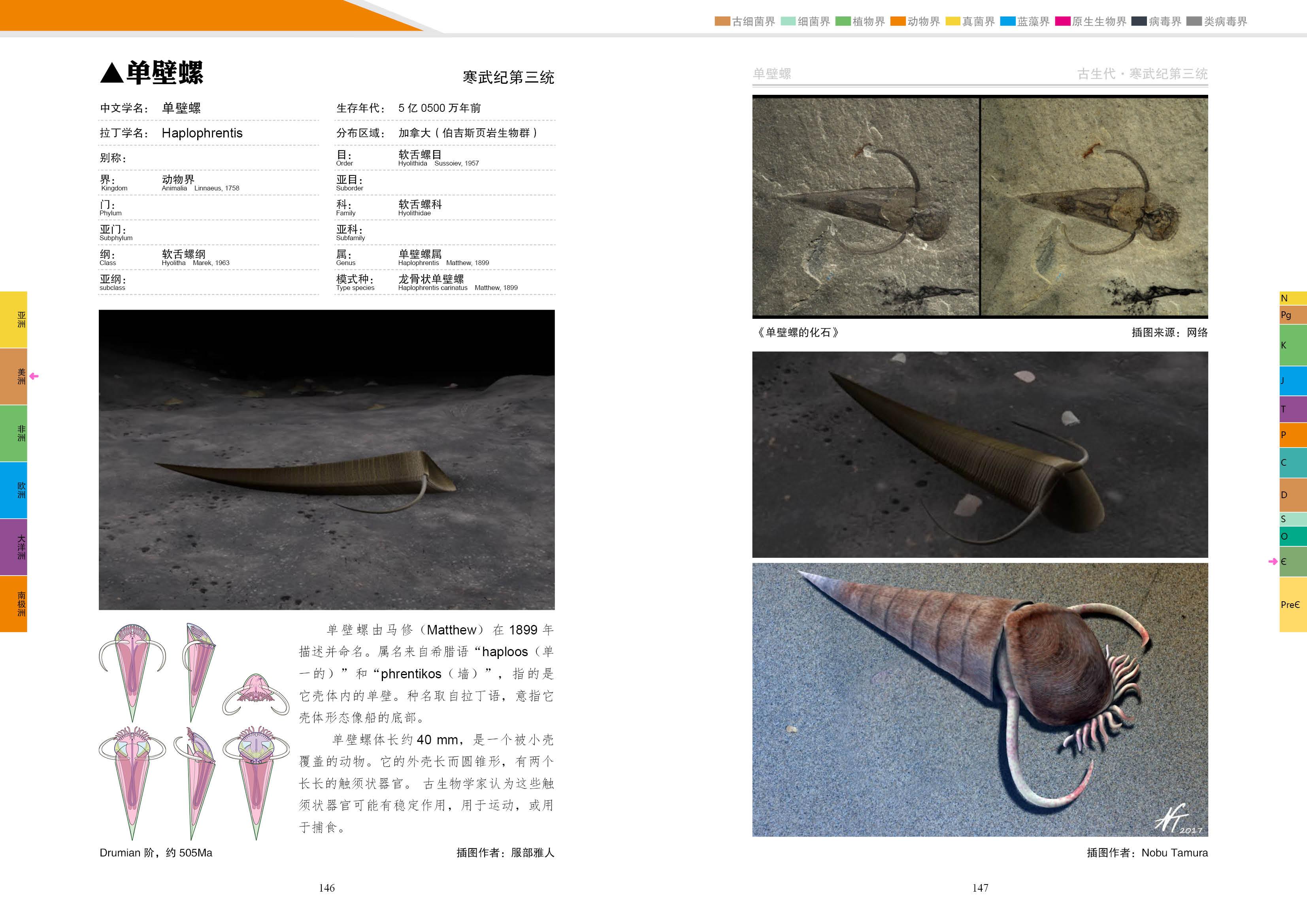 《生物简史图鉴》寒武纪之加拿大4（伯吉斯页岩动物群） - 知乎