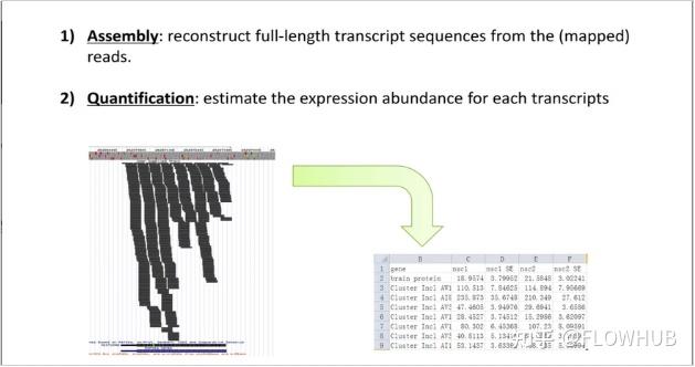 RNA测序数据回贴与组装 （RNA-Seq Mapping& Assembling） - 知乎