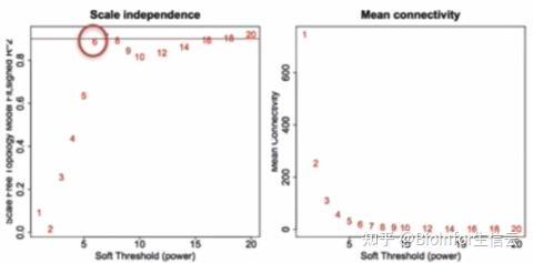 WGCNA的原理和分析步骤 - 知乎