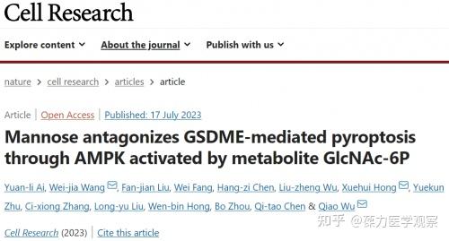 Cell Res | 发现甘露糖通过激活AMPK对GSDME介导的焦亡有抑制作用 - 知乎
