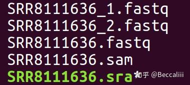 fastq、bam文件与测序深度查询 - 知乎