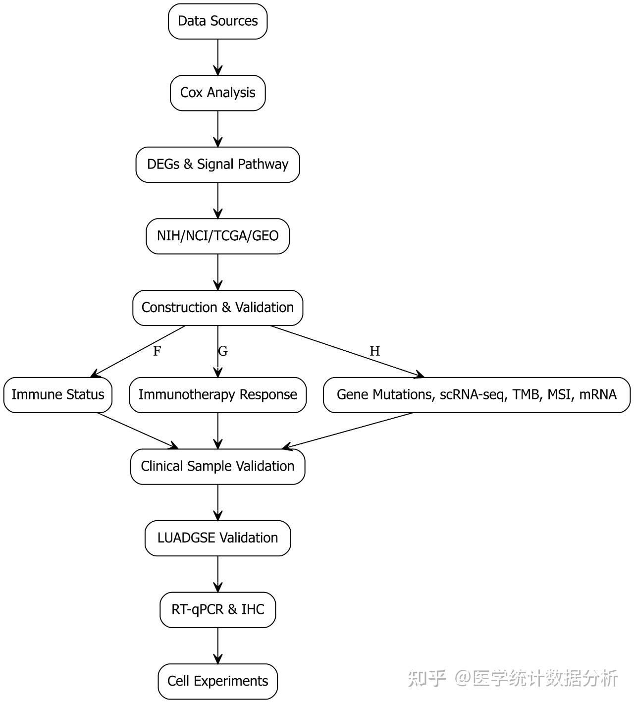 【R语言】基于DiagrammeR包的“流程图（Flowchart）”绘制的简单示例（grViz、mermaid、DOT语法） - 知乎