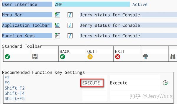 SAP GUI 一些实用技巧分享 - 知乎