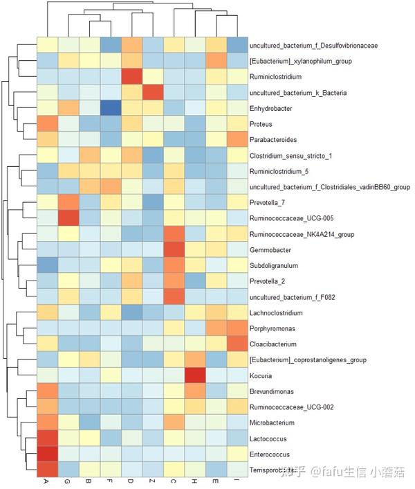 R语言 pheatmap 包绘制热图（基础部分） - 知乎