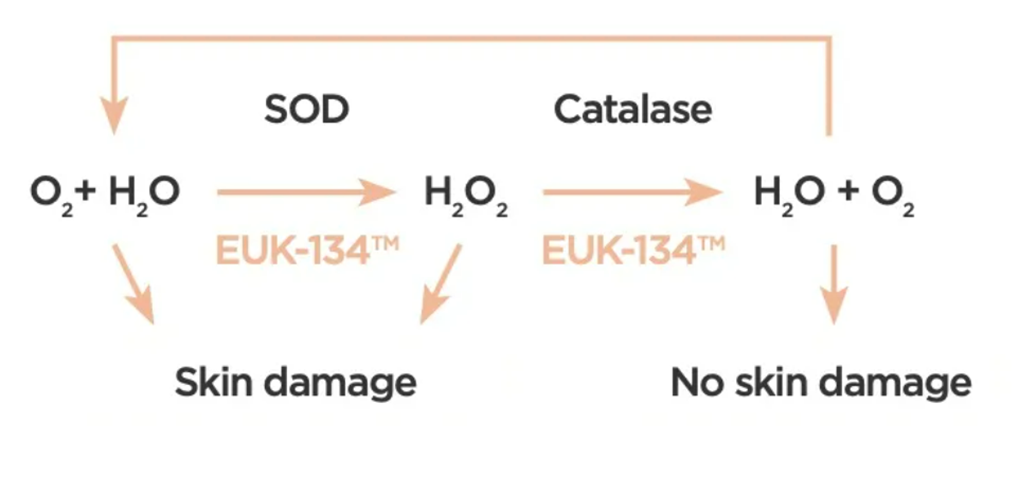 超强抗氧活性成分-EUK-134（乙基双亚氨基甲基愈创木酚锰氯化物） - 知乎