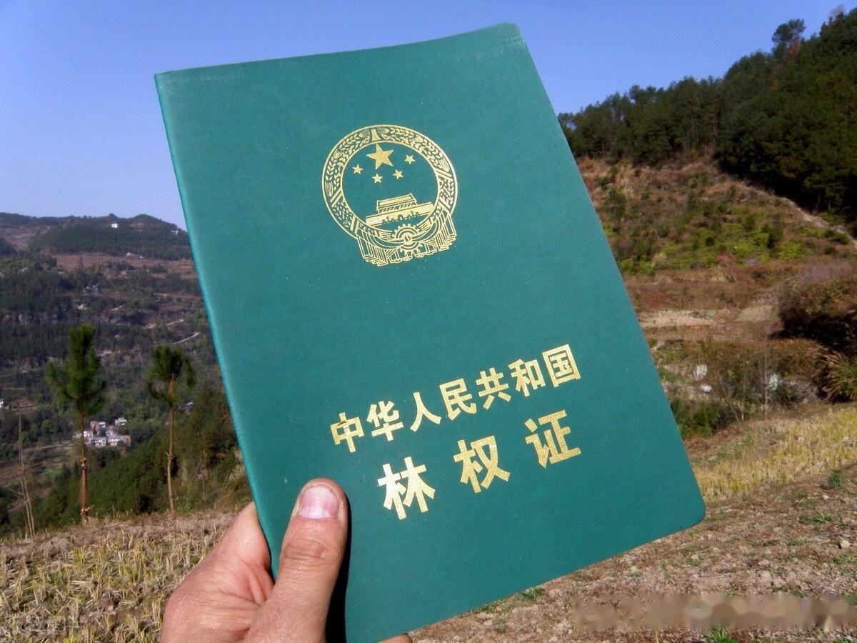 农民朋友问81年的老版林权证是否还有效？根据实际情况有三种结果 - 知乎