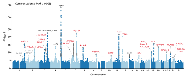Nature | 基于60万人WGS/WES关联分析，鉴定与克隆性造血表型相关的常见和罕见基因变异 - 知乎