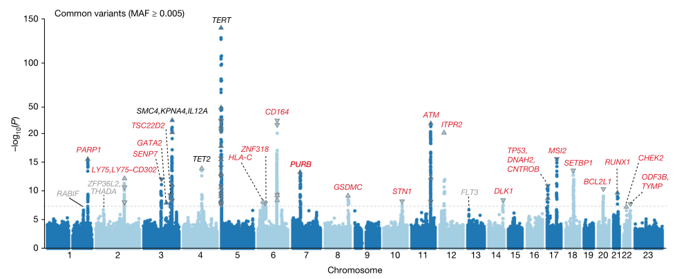 Nature | 基于60万人WGS/WES关联分析，鉴定与克隆性造血表型相关的常见和罕见基因变异 - 知乎
