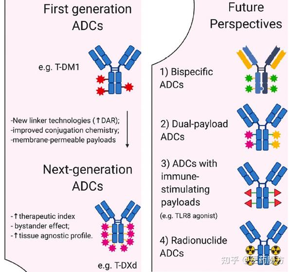 “神刊”CA重磅综述：ADC的现状、挑战、机遇和未来 - 知乎