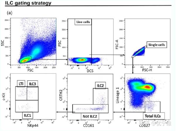 小优博士在线流式课堂—第128讲：ILC的流式解决方案 - 知乎