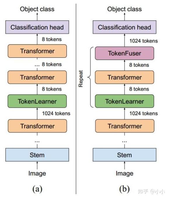 Transformer（四）ViT and SimpleViT - 知乎