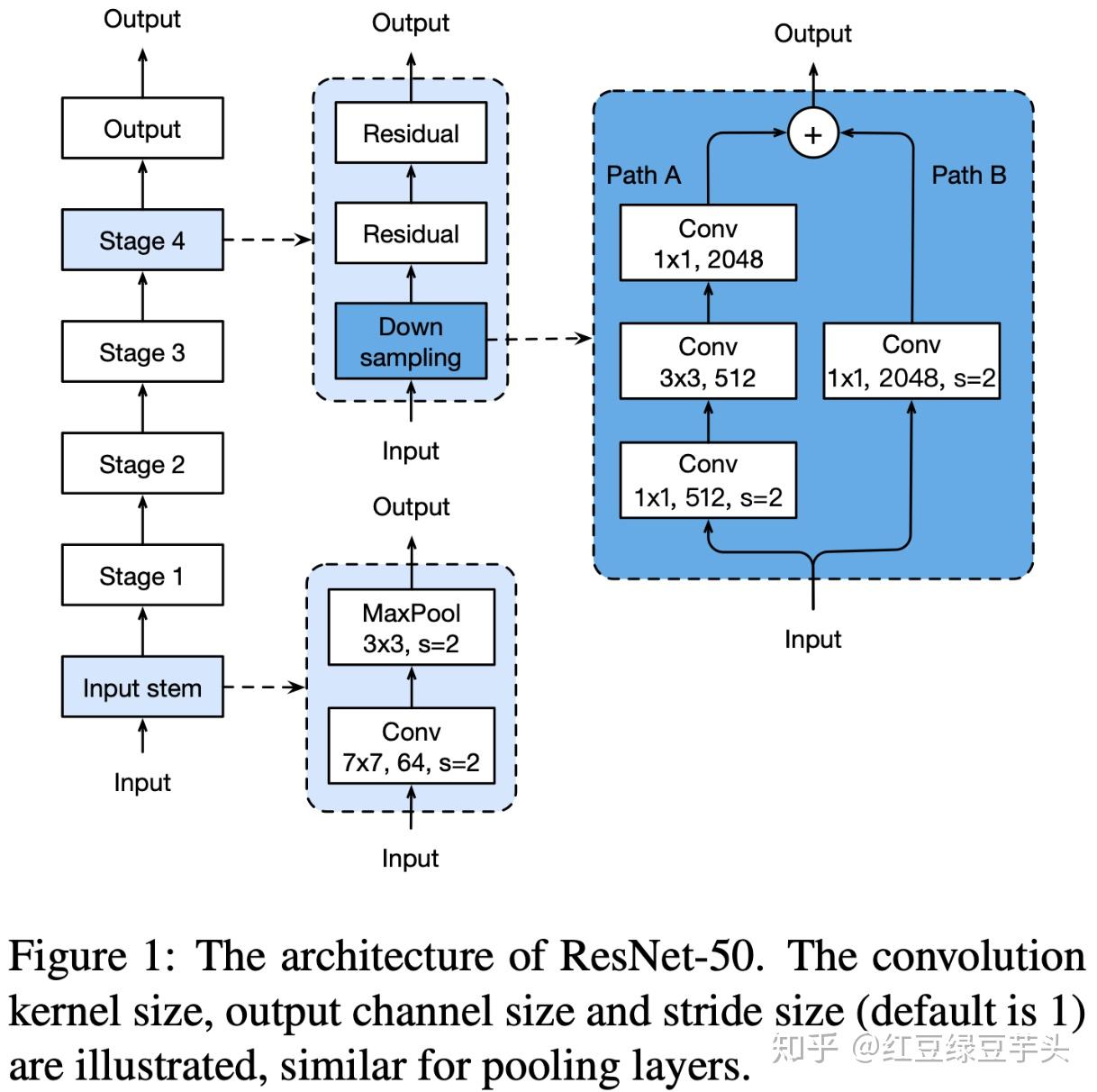 (2019,CVPR)XResNet论文阅读笔记 - 知乎
