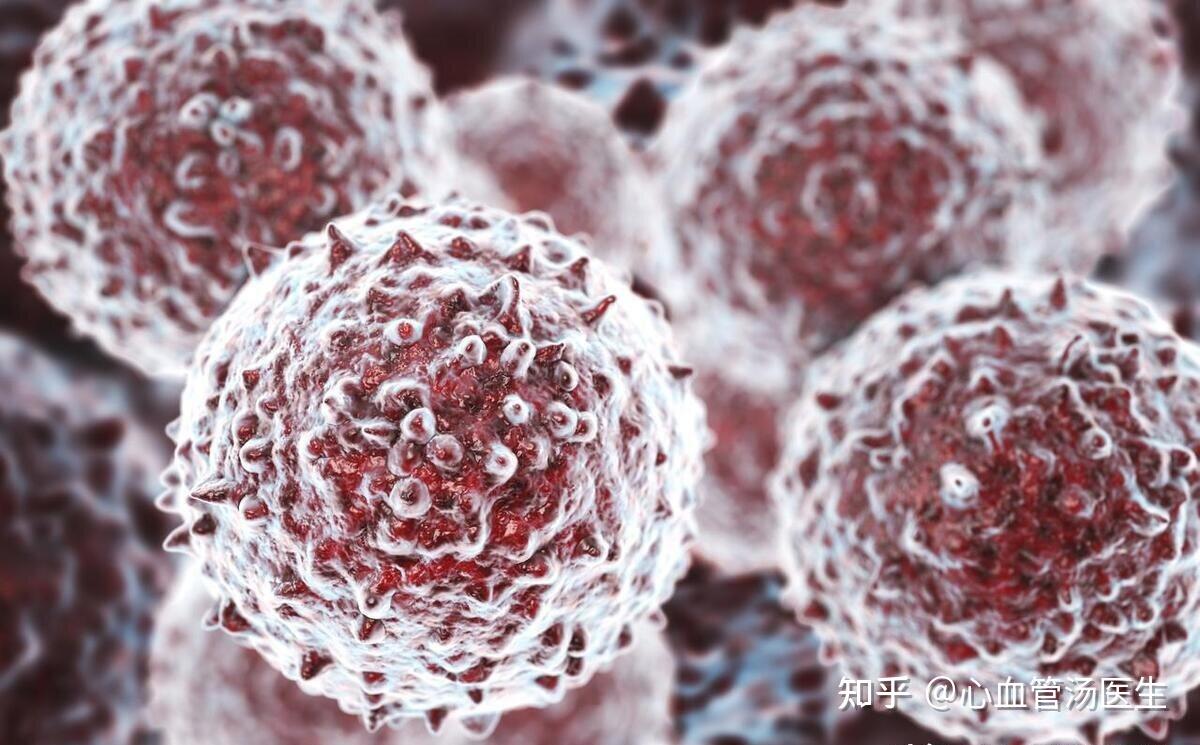 老伴30年前去世，68岁女子体检查出感染HPV，是性传播疾病吗？ - 知乎