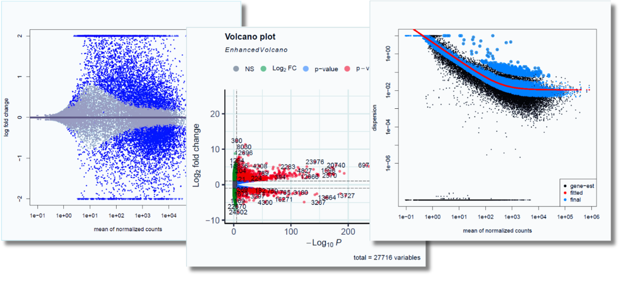 版本更新|DNAStar Lasergene 17.6序列分析软件 - 知乎