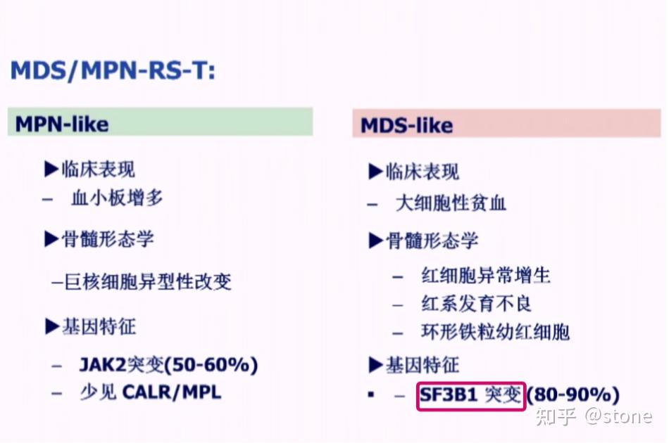 MDS/MPN（骨髓增生异常综合征/骨髓增殖性肿瘤） - 知乎