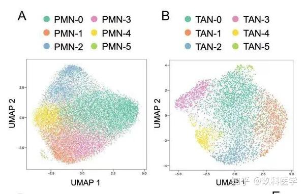 必看|小白也能看懂的生信图，实例带你分析解读 - 知乎
