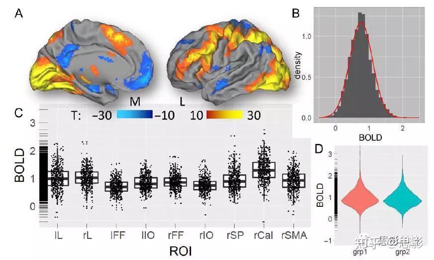 大脑激活与功能连接的联系 - 知乎